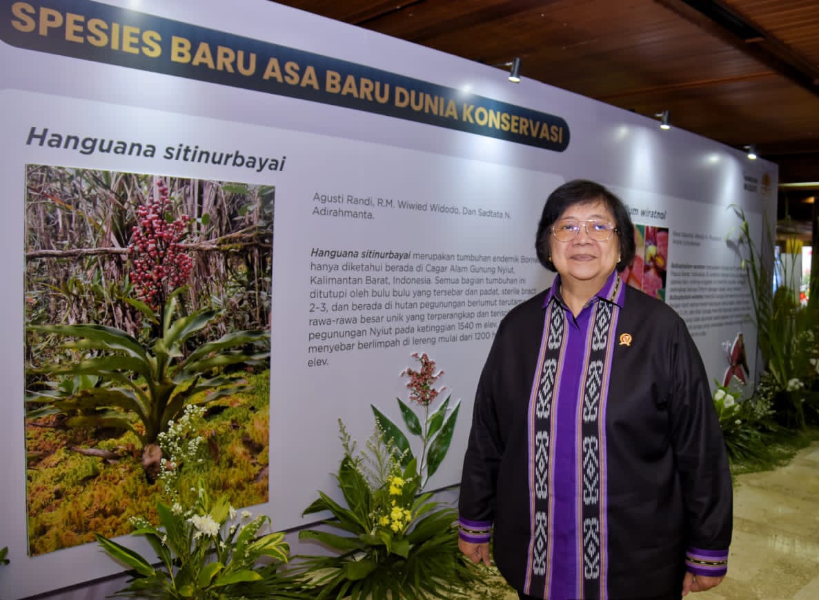 Spesies Baru, Asa Baru Dunia Konservasi, Untuk Peradaban Baru Indonesia ...